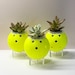 Pickleball Planter With Stand, Succulent Planter, Athlete, Unique ...