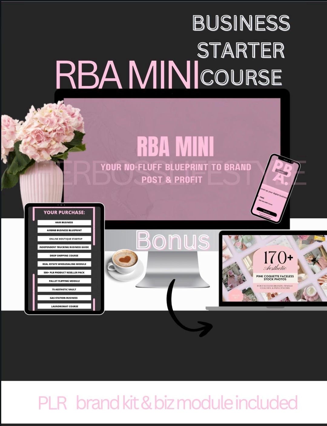 RBA Mini Business Starter Course | Faceless Brand, Digital Income & PLR ...