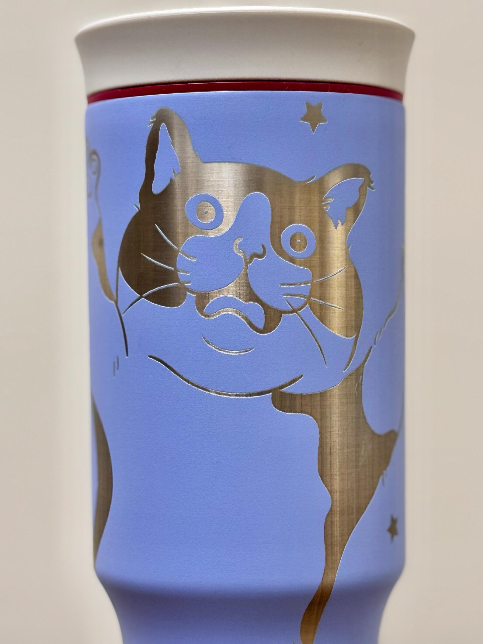 Owala Cat Cup Insulated Steel Drink Container for Work Cat Gift for ...