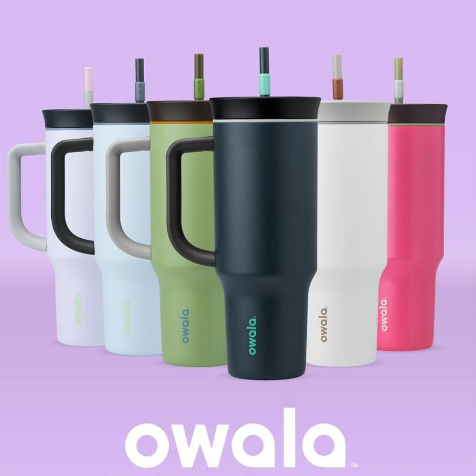 Owala Cat Cup Insulated Steel Drink Container for Work Cat Gift for ...