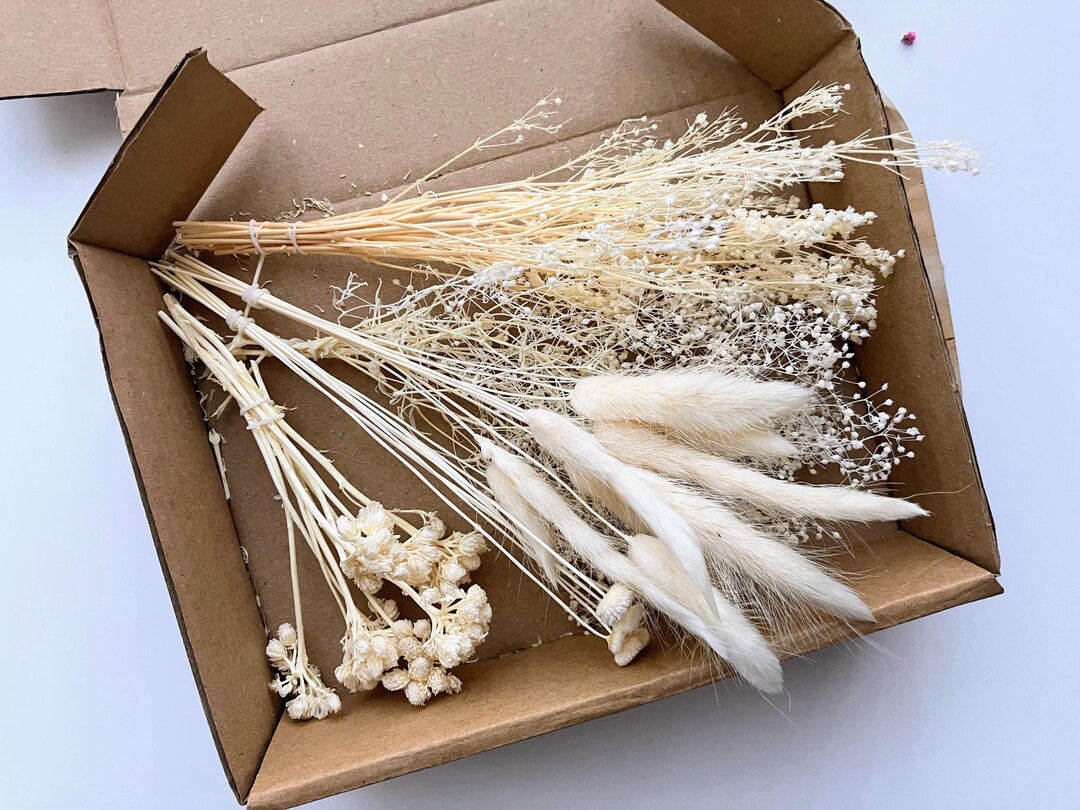 Last Set! White Lagurus, Bleached Gypsophila, Lonas Annua & Amarelinho, DIY Bouquet, Wreath ...