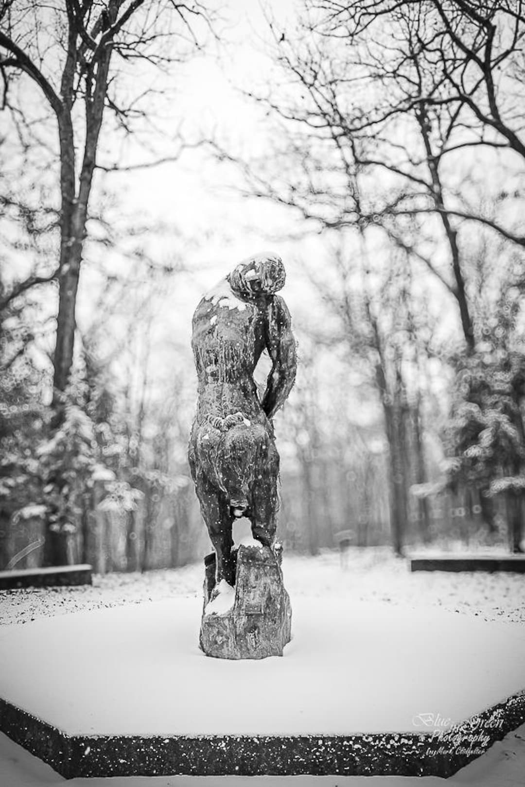 Centaur Black and White Snow - Etsy