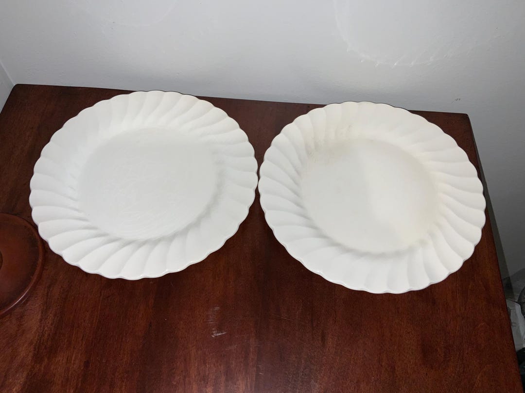 Set of 2 Myott Meakin, Olde Chelsea 10 Inch Dinner Plates - Etsy