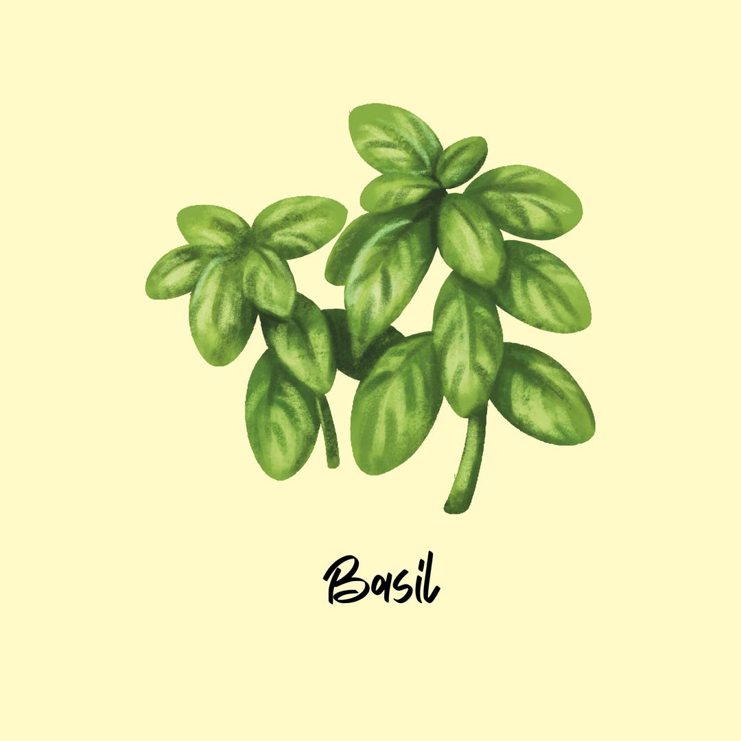 Fresh Basil Wall Art for Minimalist Kitchen Decor - Herb Botanicals ...