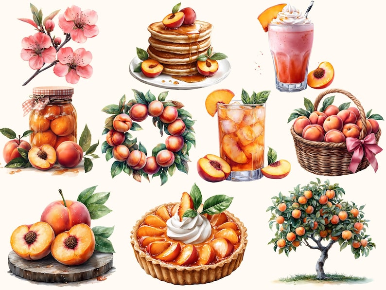 Watercolor Peach Clipart Collection, Summer Fruit 20 PNG Illustrations ...