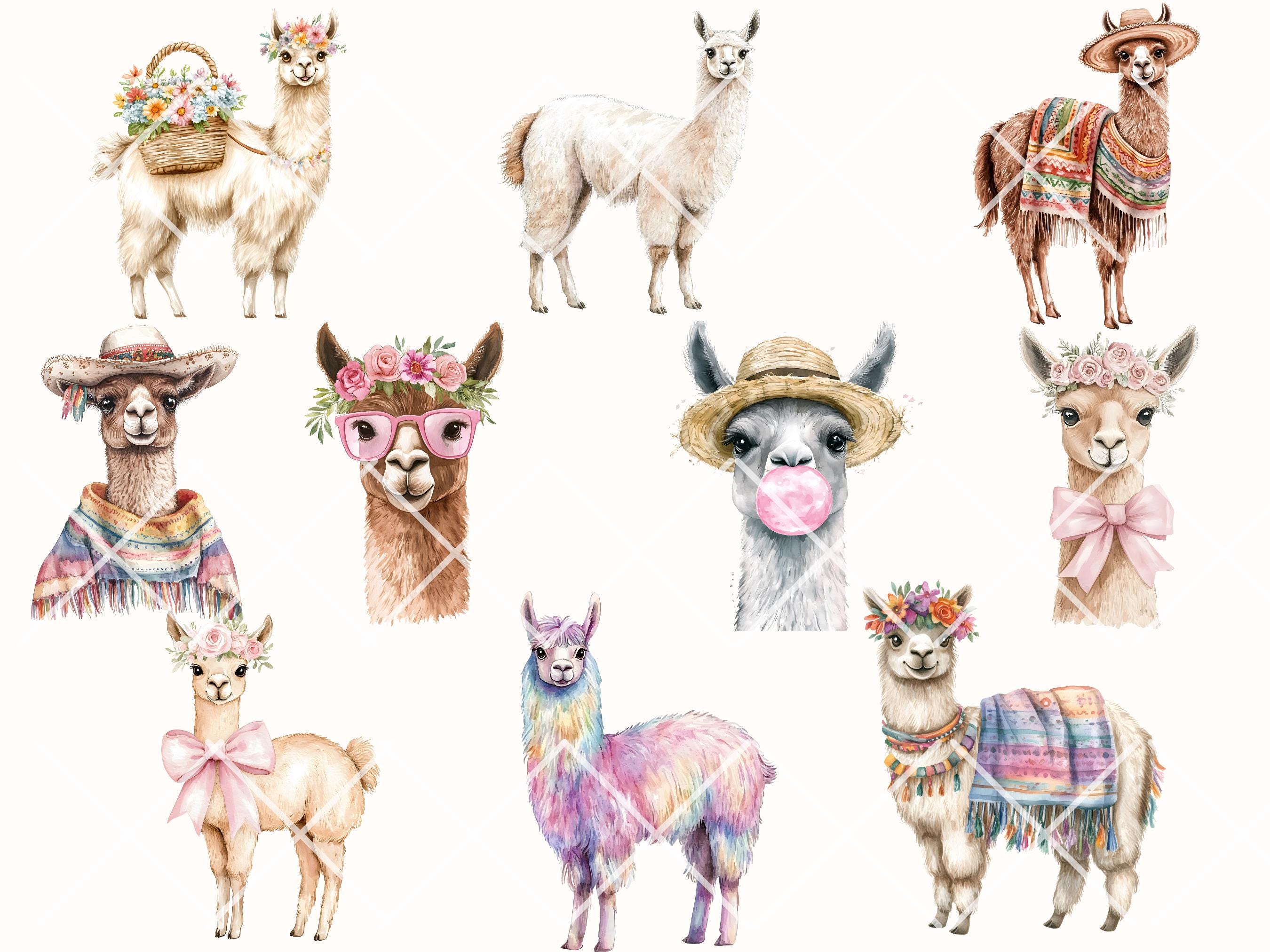 Cute Llamas Clip Art Collection, 20 PNG Adorable Animal Illustrations ...