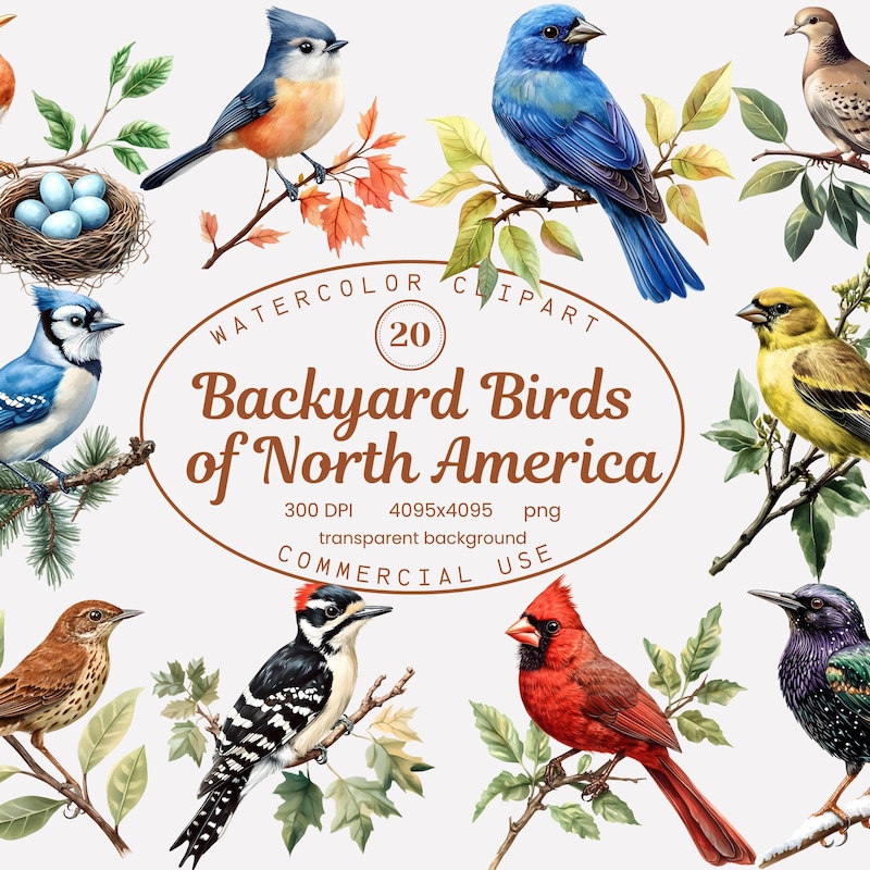 Wall Prints Birds Sets - Etsy
