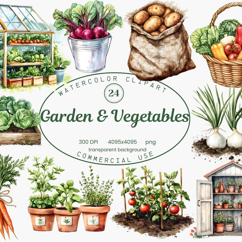 Vegetable Clip Art - Etsy