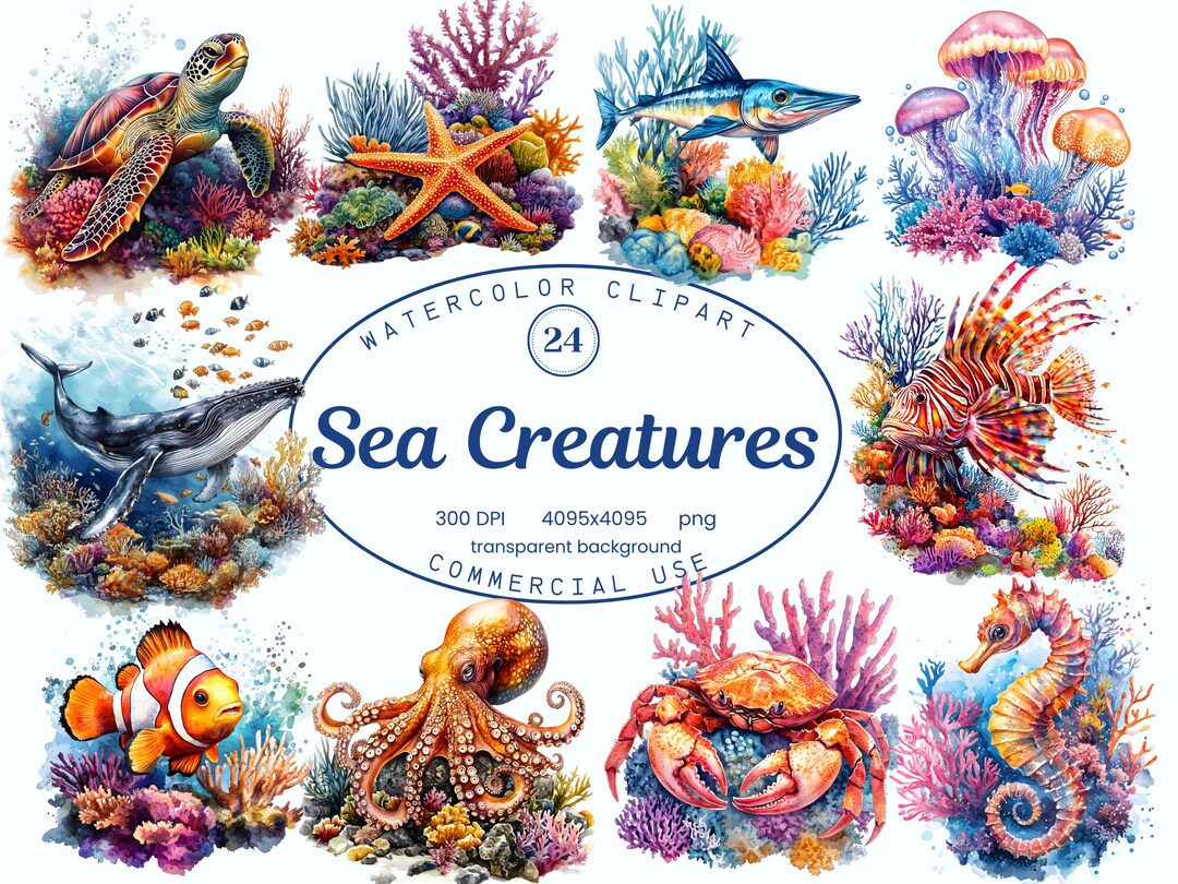 Sea Creatures Clipart Collection, Ocean Animals Marine Life 24 PNG ...