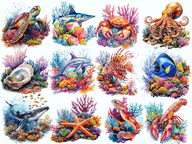 Sea Creatures Clipart Collection, Ocean Animals Marine Life 24 PNG ...