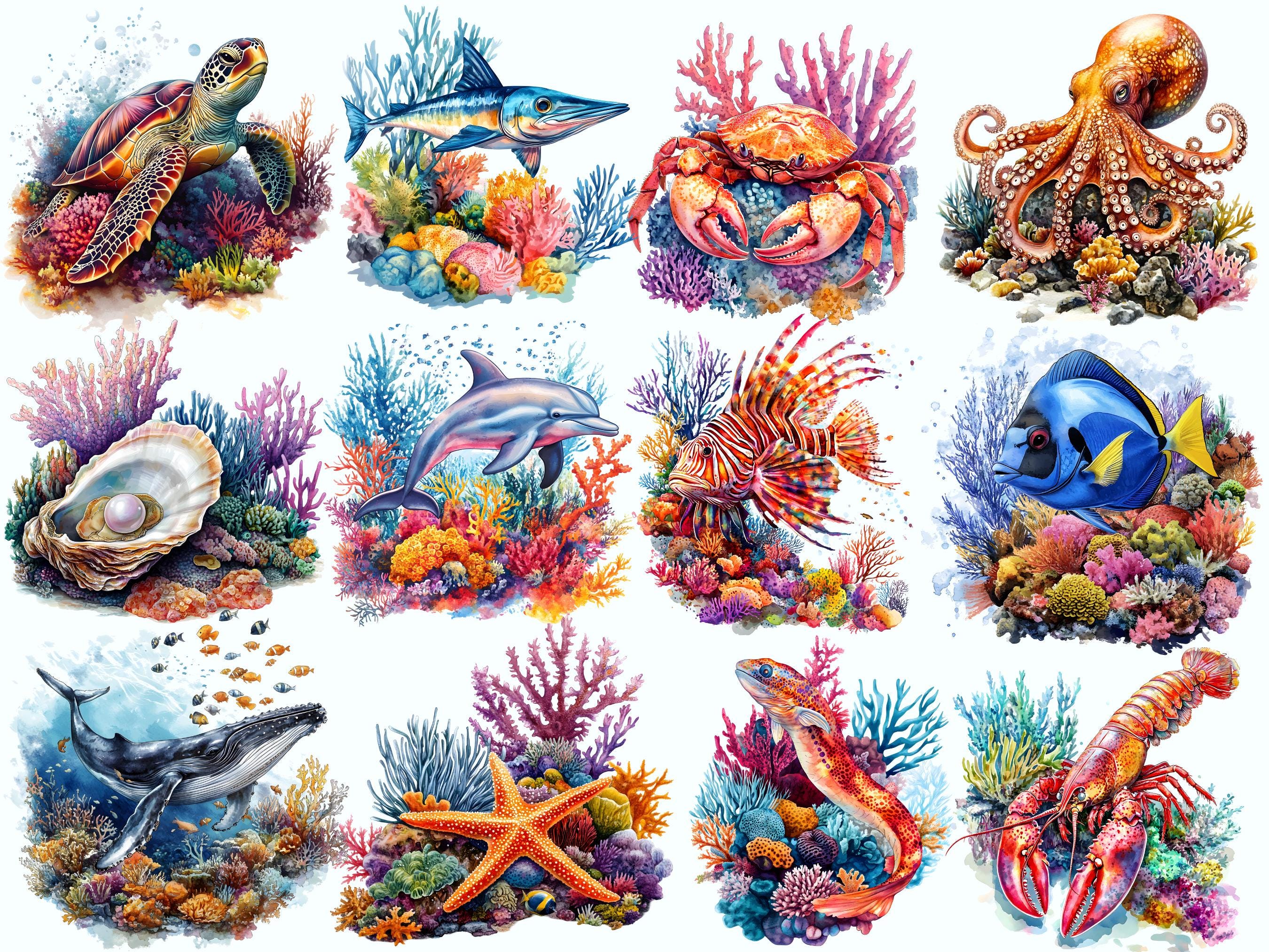 Sea Creatures Clipart Collection, Ocean Animals Marine Life 24 PNG ...
