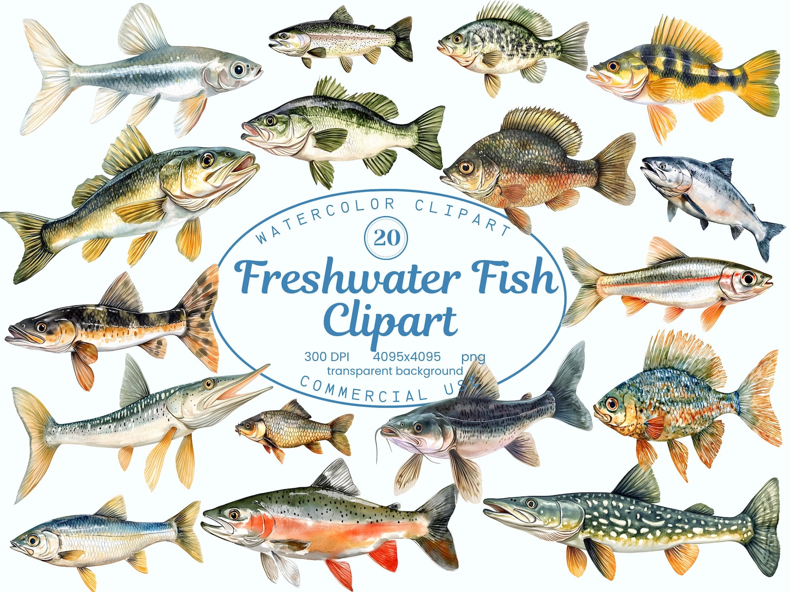 Freshwater Fish Clipart Collection, River Fisherman Life 20 PNG ...