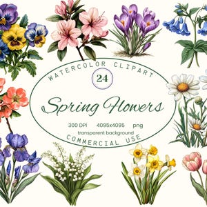 Spring Flowers Clip Art Collection, Retro Botanical 24 PNG ...