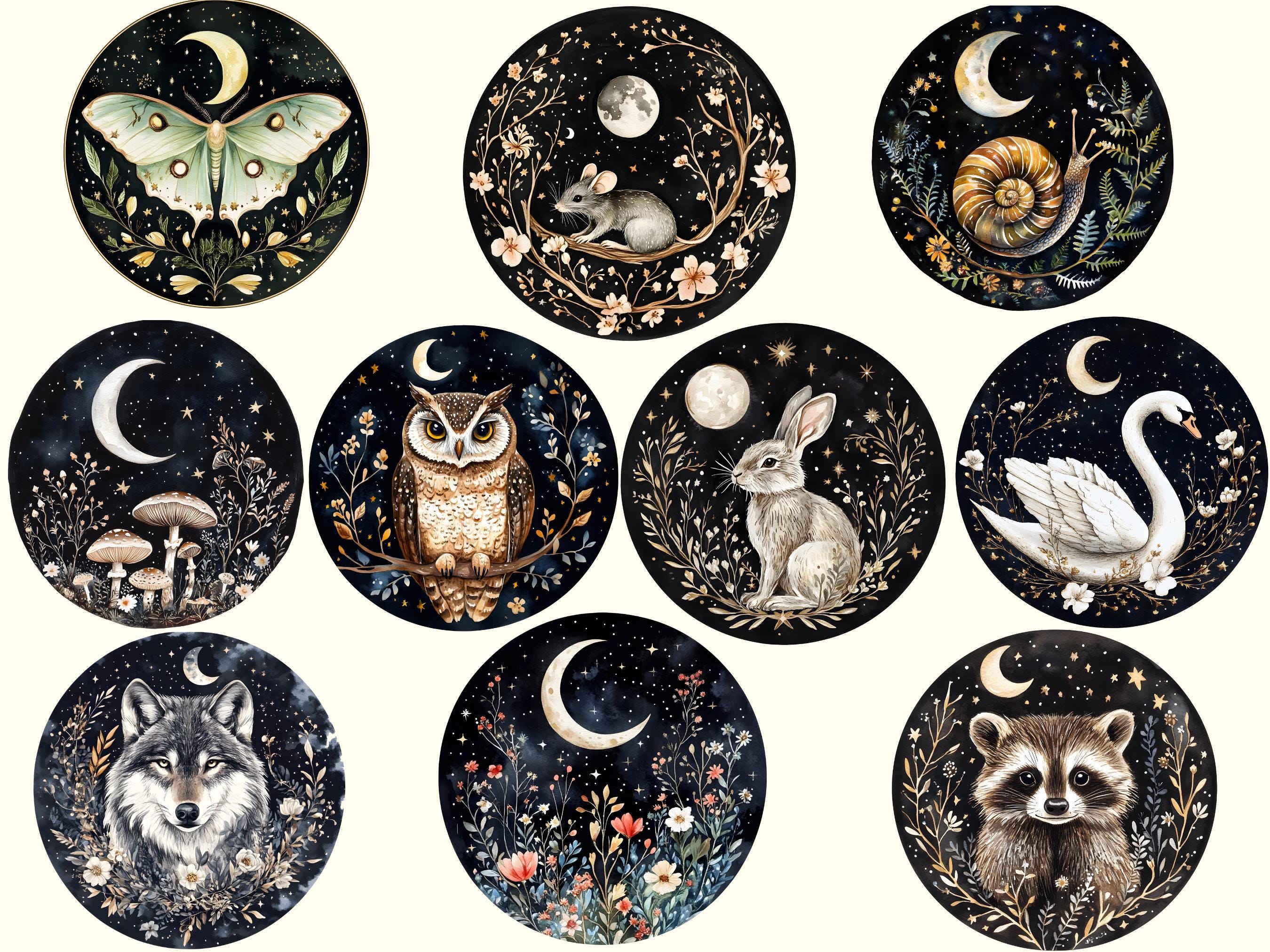 Night in the Nature Clipart Collection, Nocturnal Woodland Animals ...