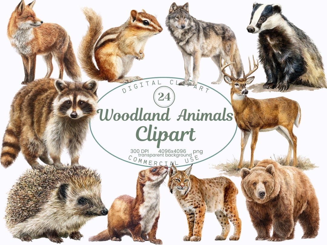 Woodland Animals Clipart Collection, Forest Animal Art Set, Realistic ...