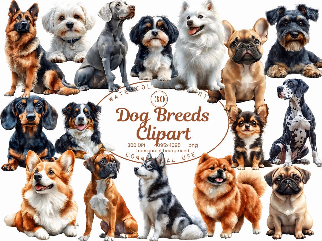 Dogs Breeds Clipart Collection, Dog Lovers Watercolor 30 PNG ...