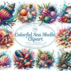 Colorful Sea Shell Clipart Collection, Beach Ocean 20 PNG Illustrations ...