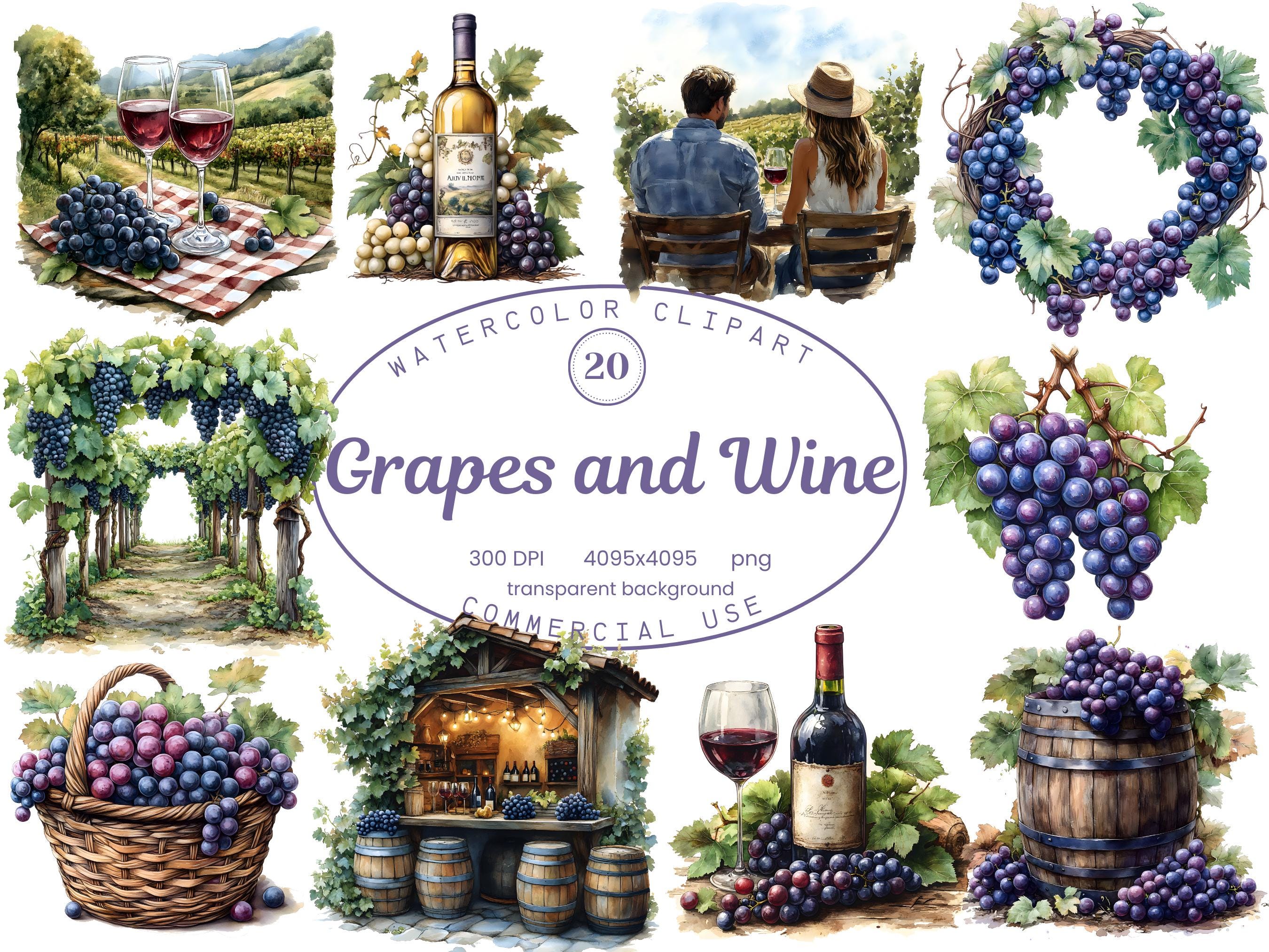 Grapes and Wine Clipart Collection, Vineyards Watercolor Graphics 20 ...