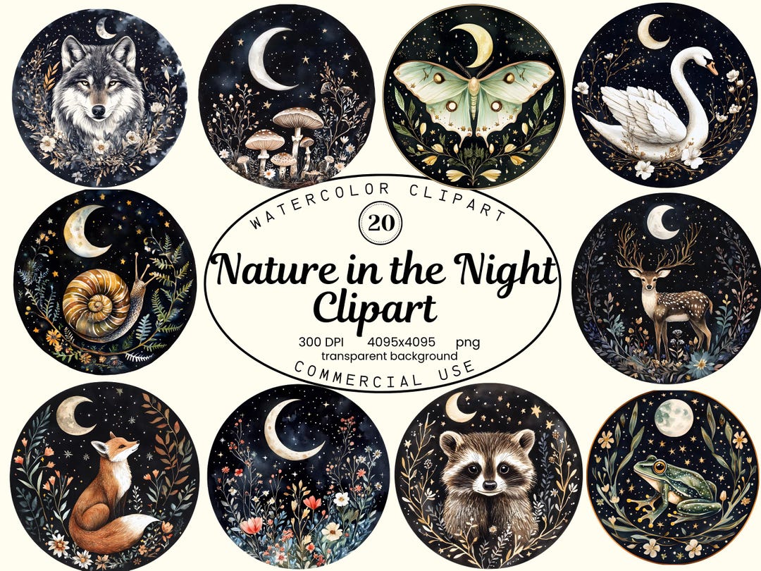 Night in the Nature Clipart Collection, Nocturnal Woodland Animals ...