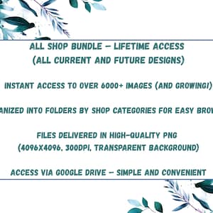 Whole Shop Lifetime Access Clipart Mega Bundle, 6000+ PNG Graphics, All ...