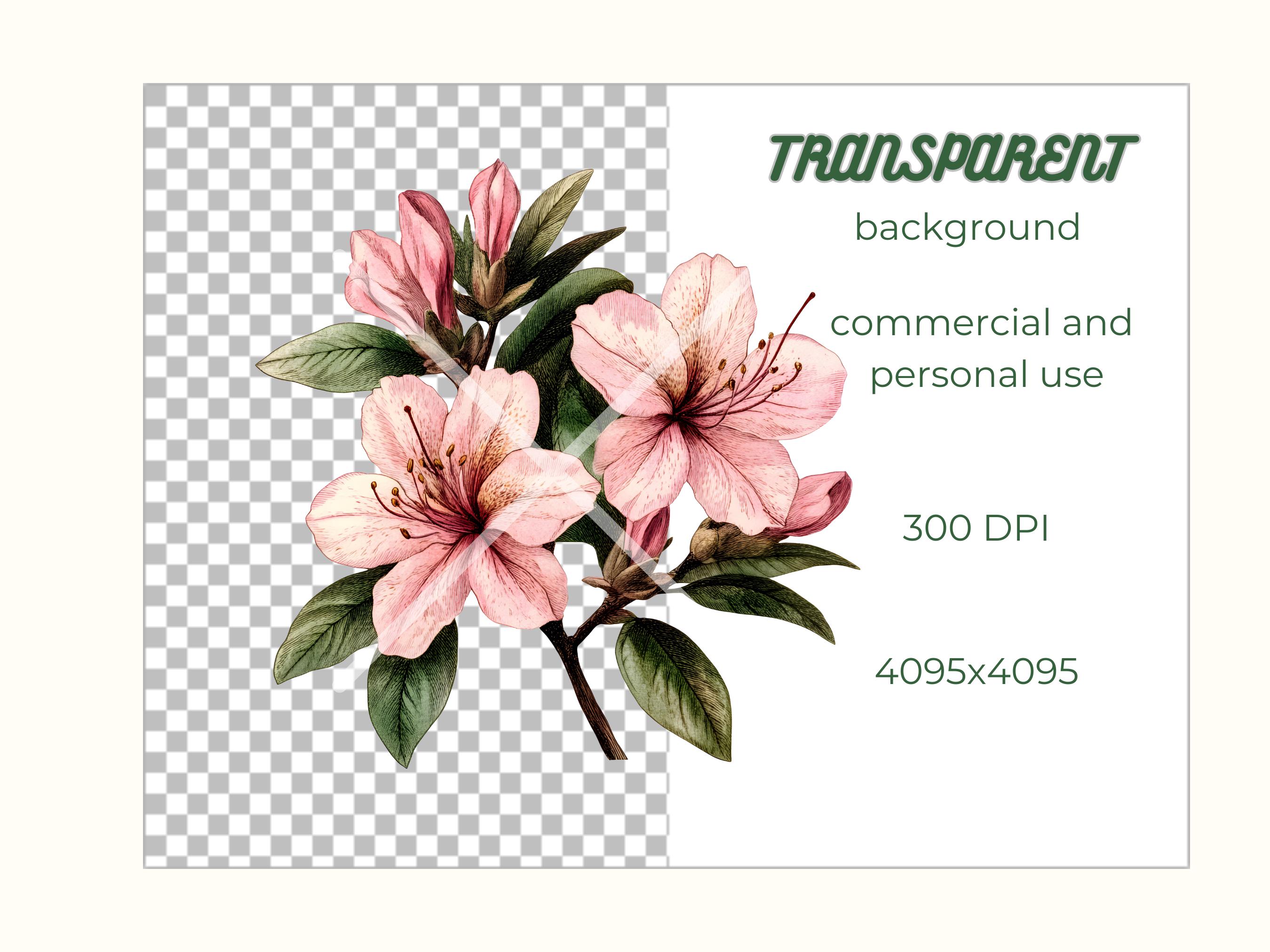 Spring Flowers Clip Art Collection, Retro Botanical 24 PNG ...