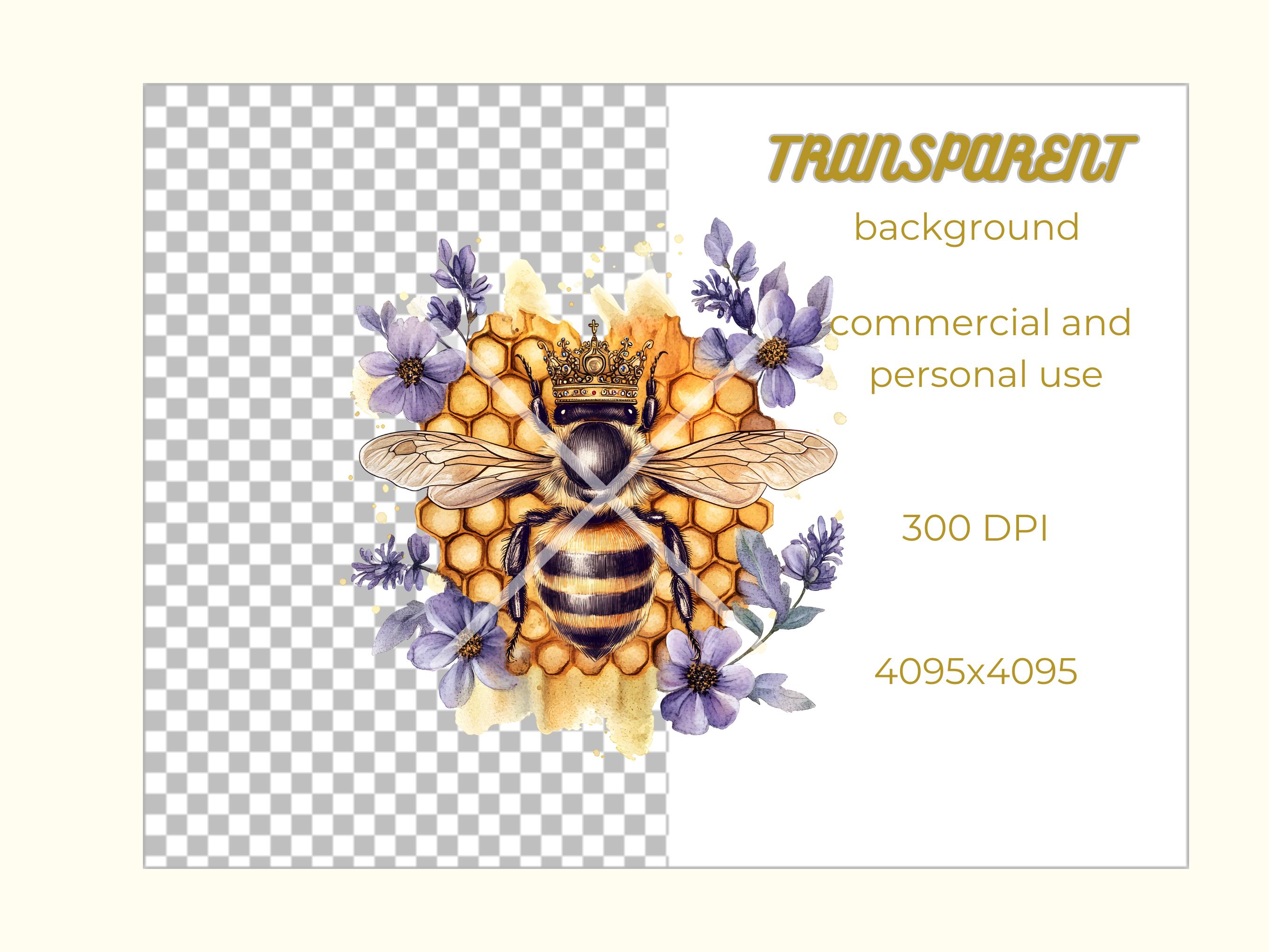 Bees and Flowers Clip Art Collection, Watercolor 20 PNG Illustrations ...