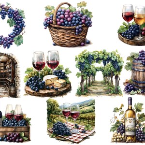 Grapes and Wine Clipart Collection, Vineyards Watercolor Graphics 20 ...