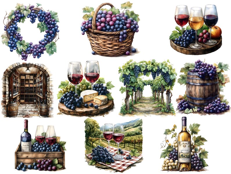 Grapes and Wine Clipart Collection, Vineyards Watercolor Graphics 20 ...