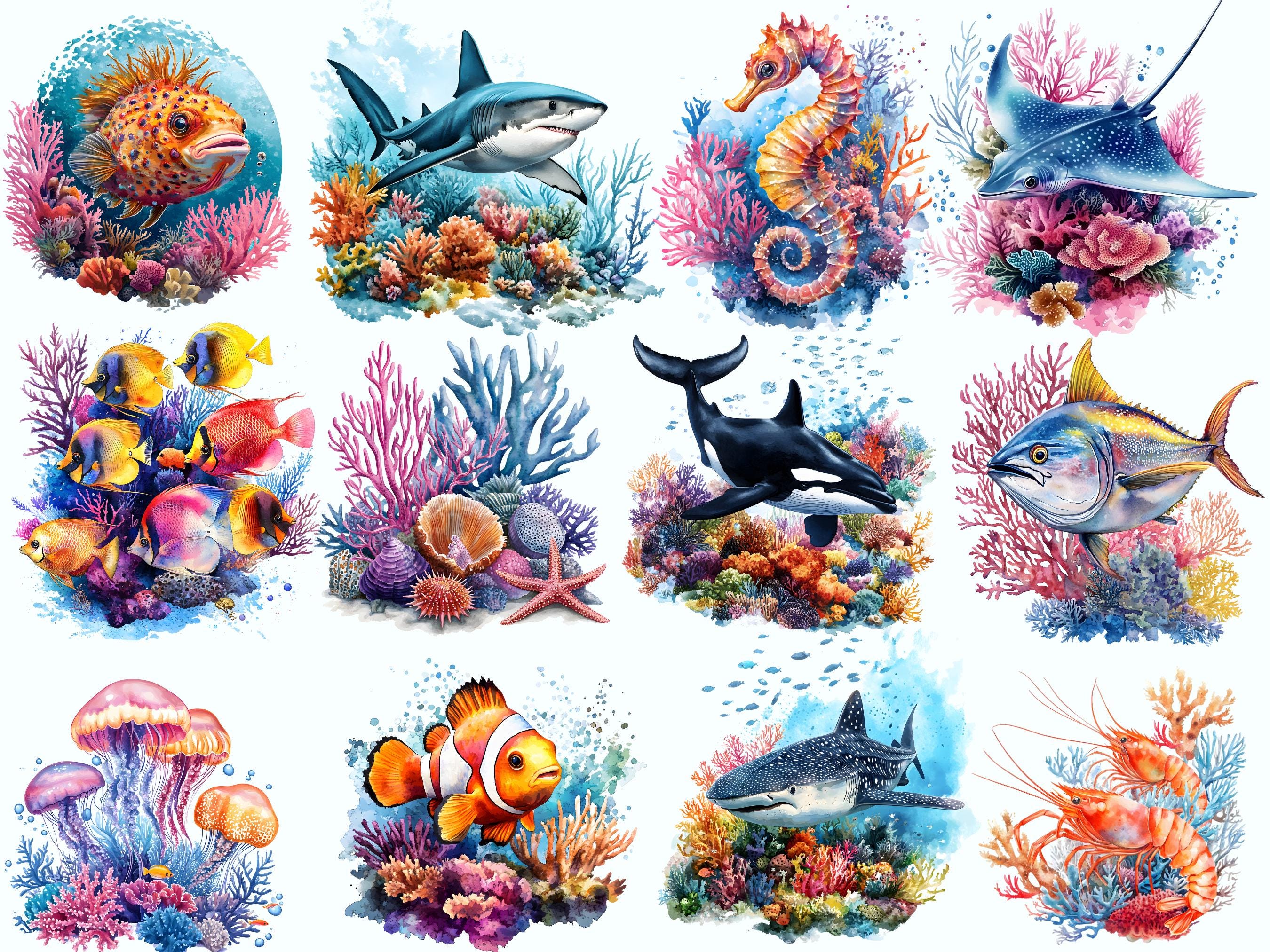 Sea Creatures Clipart Collection, Ocean Animals Marine Life 24 PNG ...
