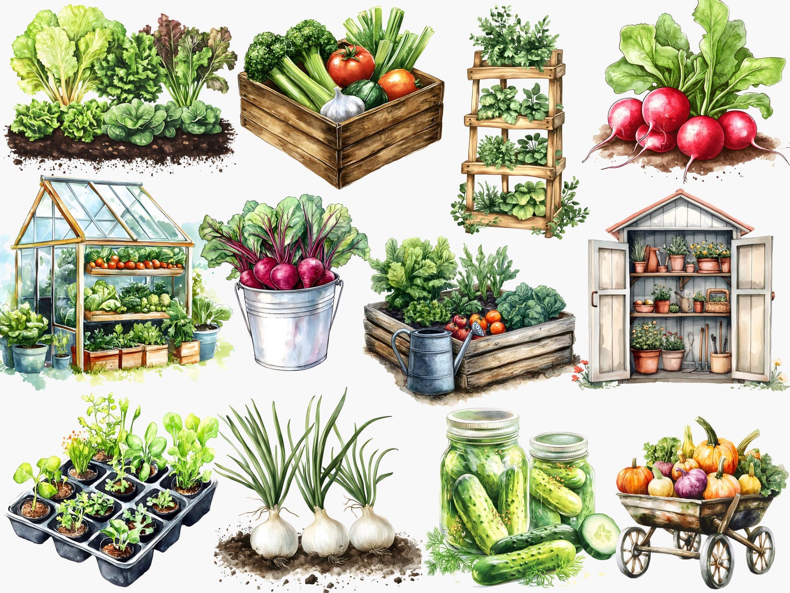 Garden Vegetables Clip Art Collection, Rustic Farm Fresh Watercolor ...