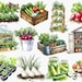 Garden Vegetables Clip Art Collection, Rustic Farm Fresh Watercolor ...