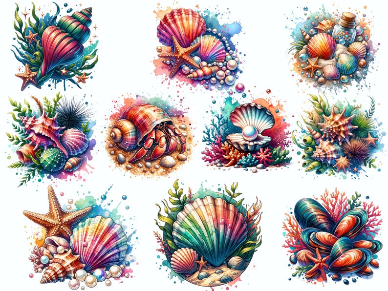 Colorful Sea Shell Clipart Collection, Beach Ocean 20 PNG Illustrations ...