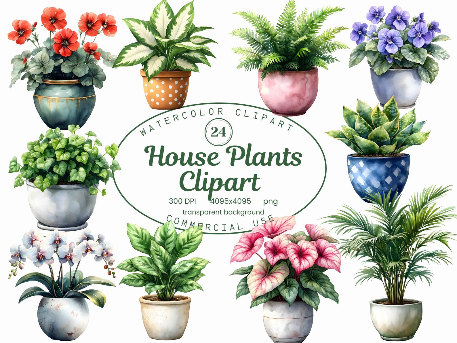 House Plants Clipart Collection, 24 PNG Botanical Watercolor ...
