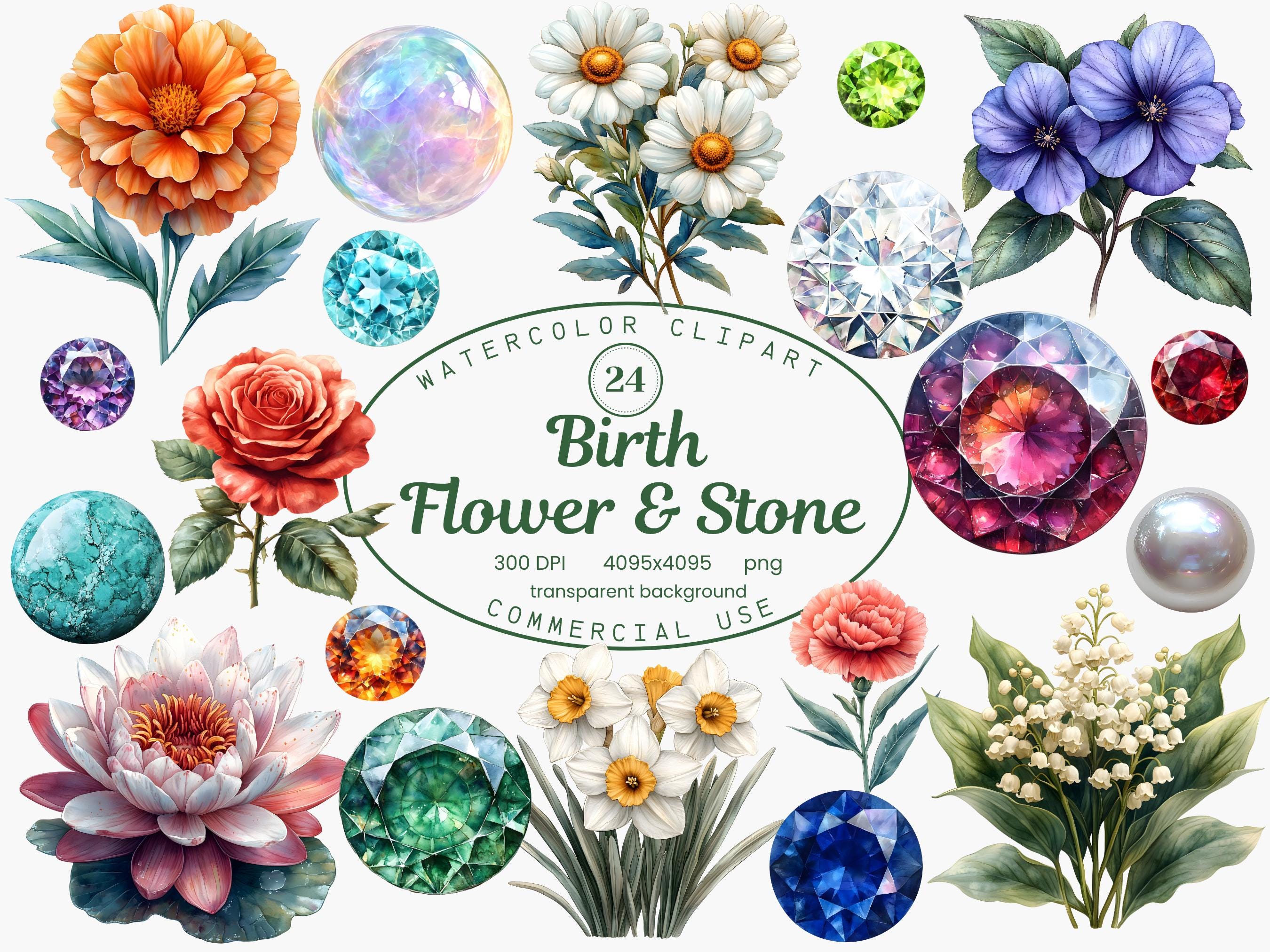 Birth Flower & Stone Clip Art Collection, Watercolor Birth Gemstones 24 ...