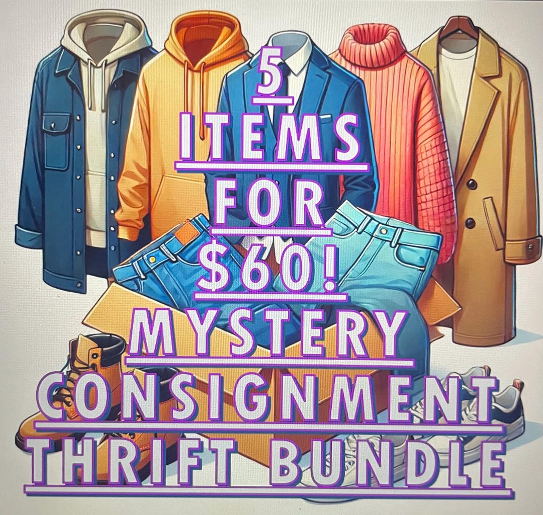 Thrifted/consignment Clothes Box, Affordable Clothes, Wardrobe Restock ...