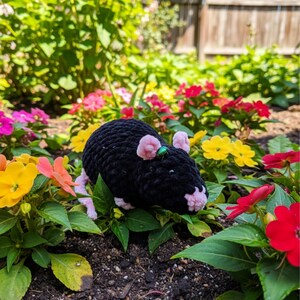 No Sew Crochet Rat Pattern PDF, Beginner Friendly Amigurumi, Easy ...