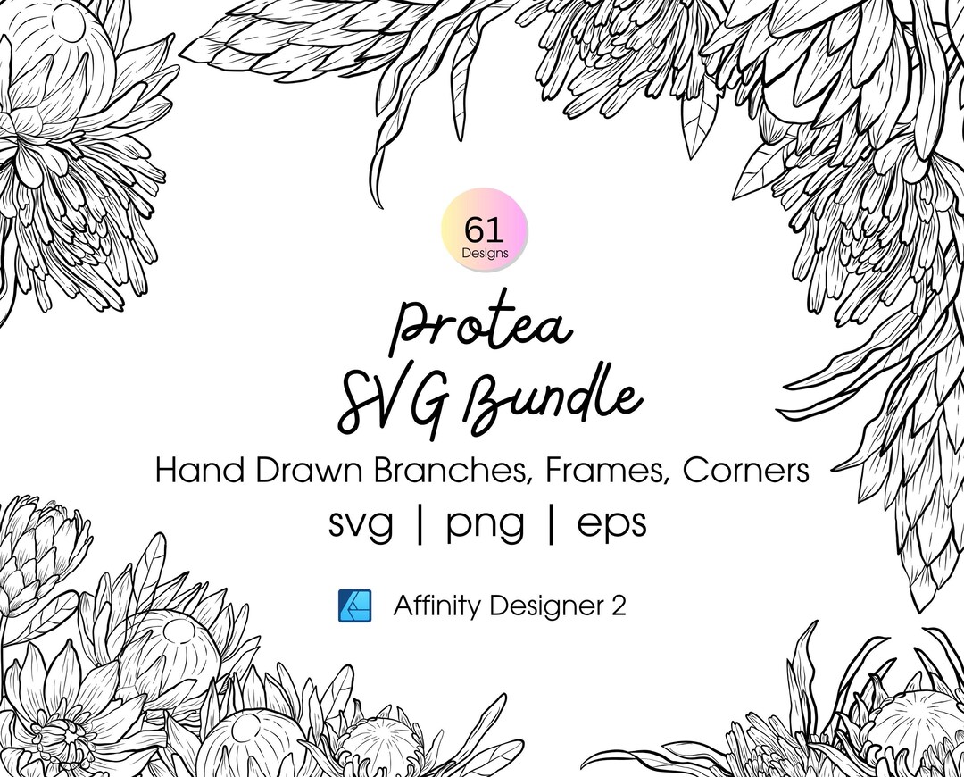 Protea Floral Clipart Bundle – PNG / SVG Fine‑line Elements, Svg Frame ...