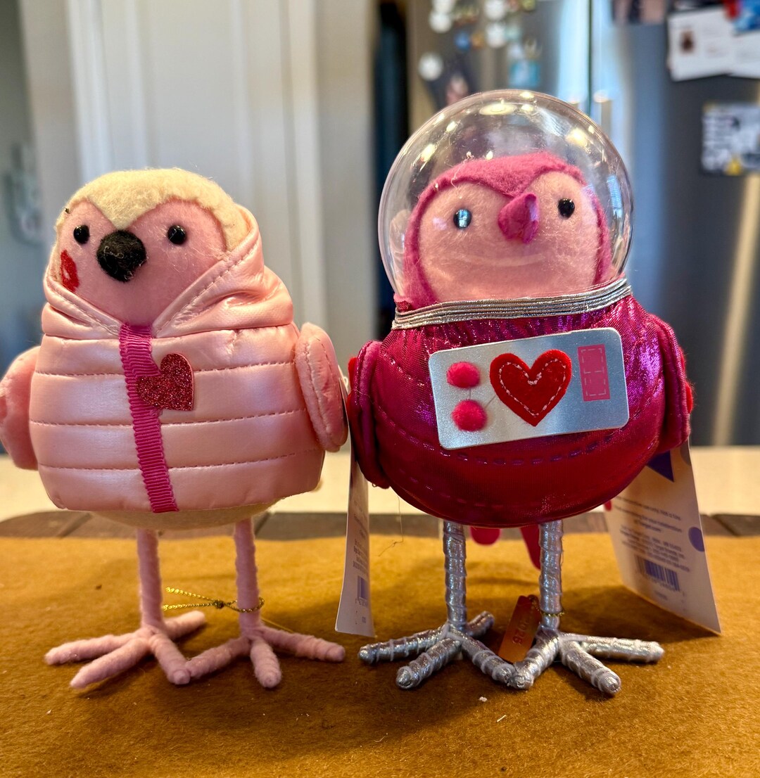 Target Featherly Friends: Puffer Bird & Astronaut Bird Valentine's ...