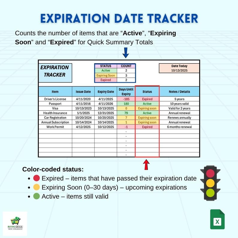 Expiration Date Tracker | Excel & Google Sheets Expiry Log | ID, Permit ...