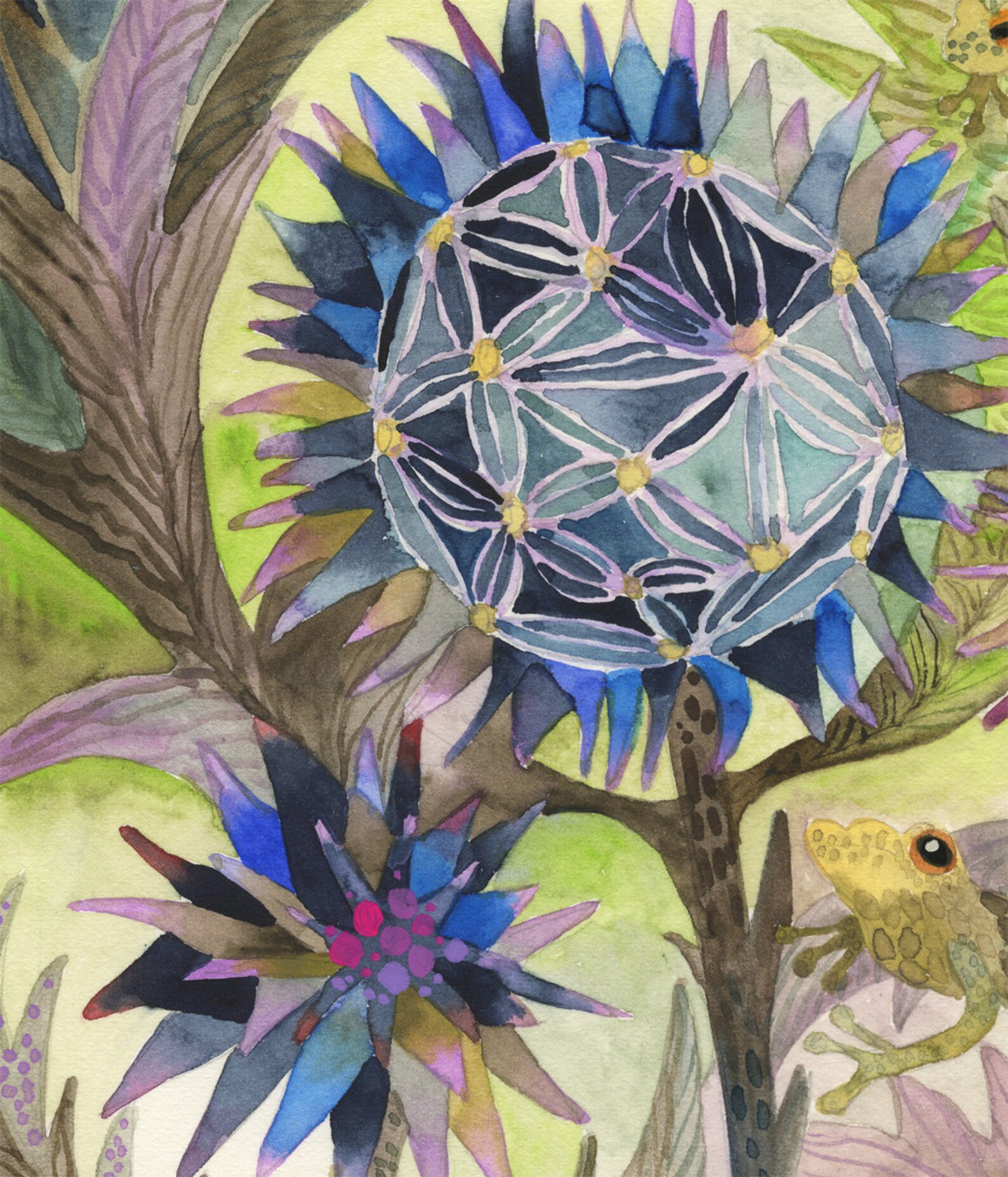 Art Print Echinops Thistles and Peeper Frogs 2 - Etsy