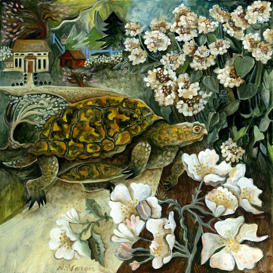 Art Print of Original Acrylic Painting Box Turtle - Etsy