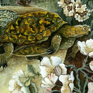 Art Print of Original Acrylic Painting Box Turtle - Etsy
