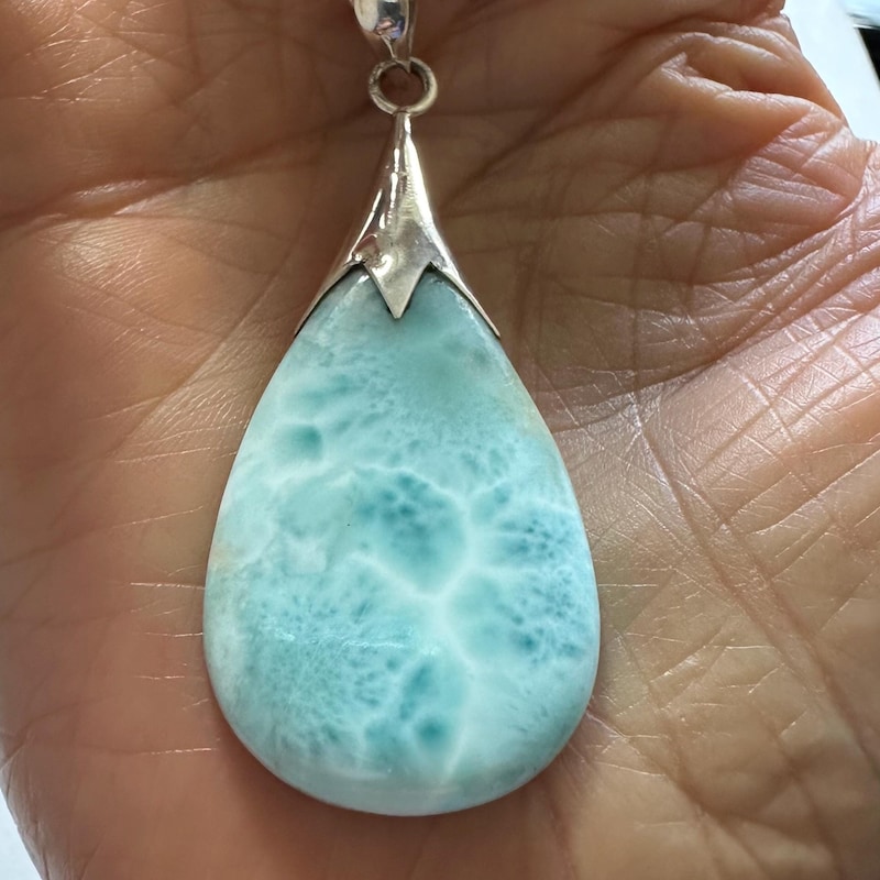 Turtleback - Etsy