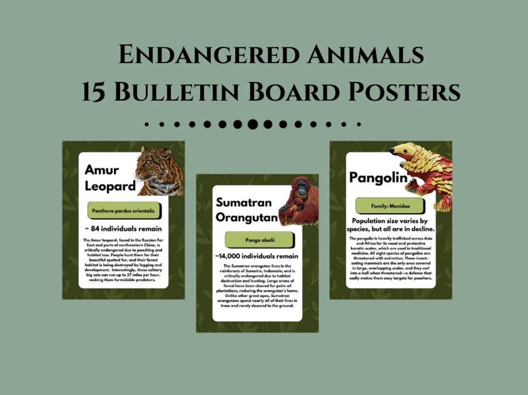 15 Endangered Animal Bulletin Board Posters-earth Day-science ...