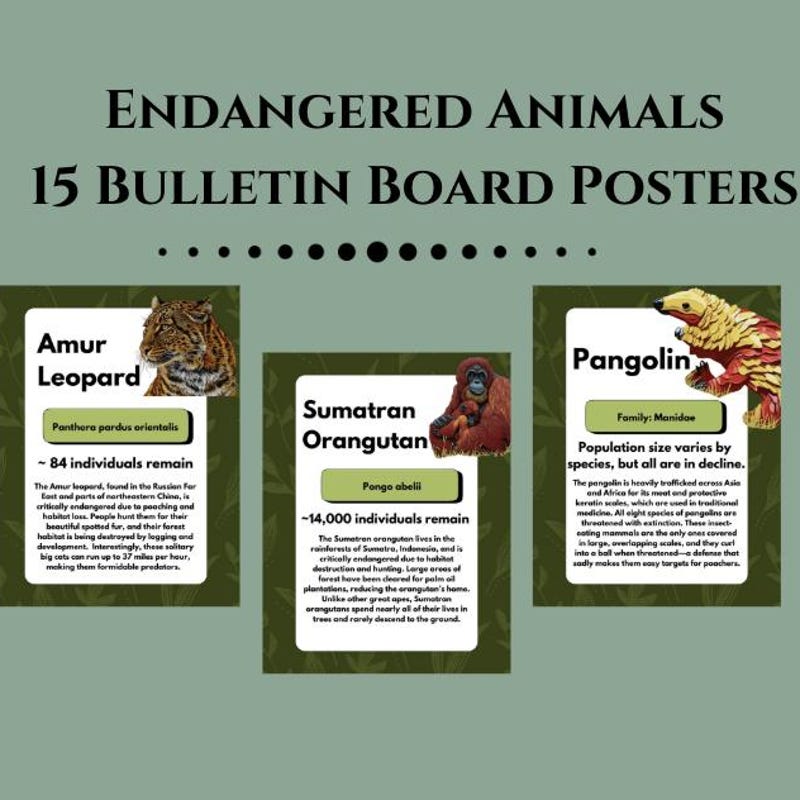 Endangered Animal Poster - Etsy