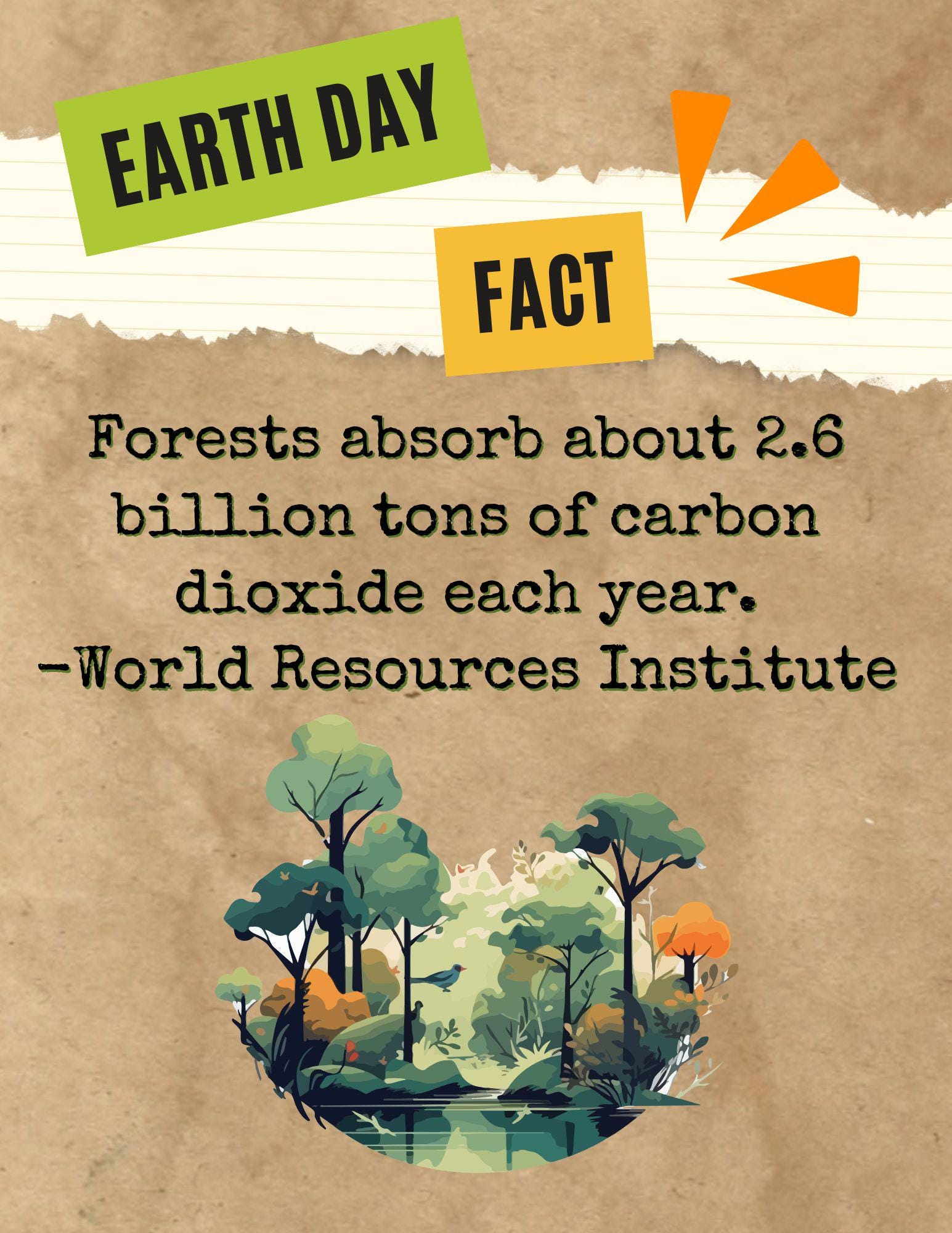 10 Earth Day Bulletin Board Fact Sheets – Educational & Eye-opening - Etsy
