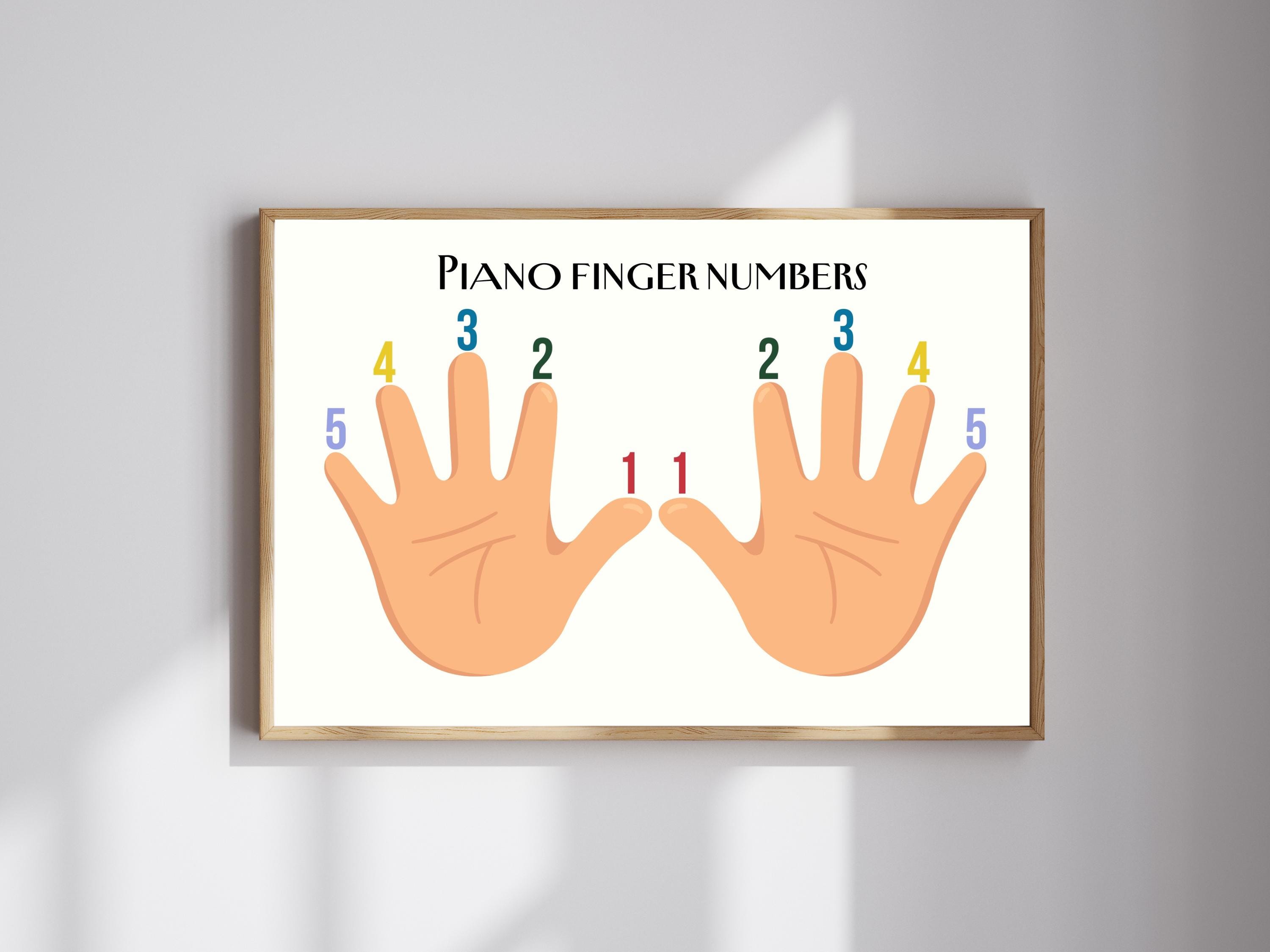 Music Education Posters Music Classroom Decor Piano Studio Decor Music ...