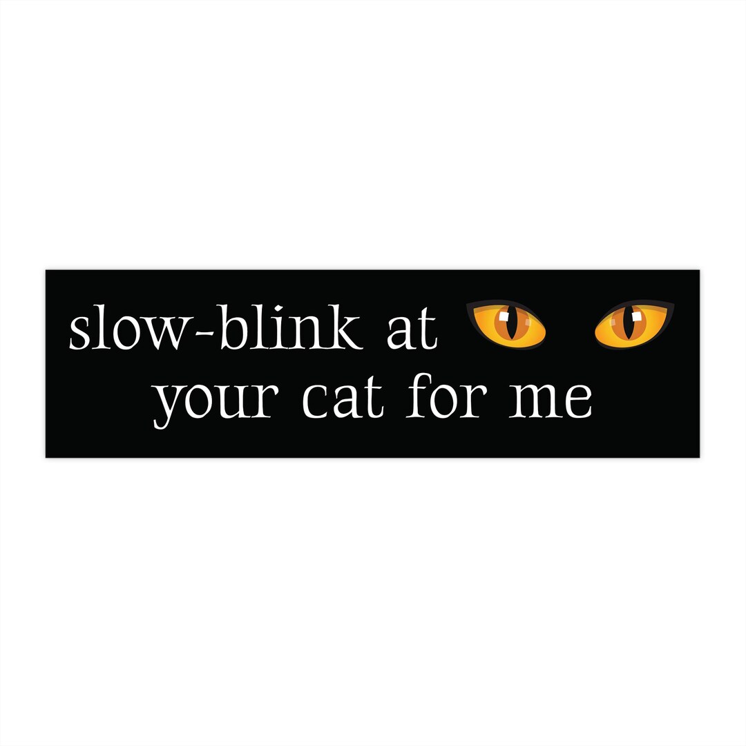 Funny Cat Bumper Sticker - Purrfect Gift for Cat Lovers, Cute Car Decal ...