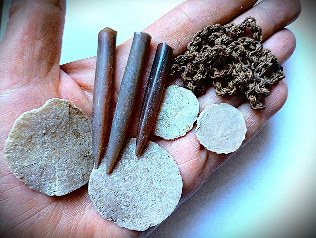 45-2 ) 7 Pieces of Fossils, Stone Discs, Very Thin and Very Stable and ...
