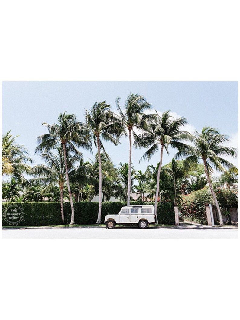 Palm Tree Nomad (color) - Land Rover Defender Print, Boy Room Art ...